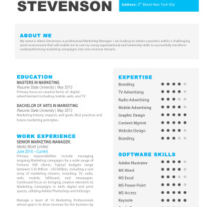 The Shane Resume - Creative Resume Template for Word